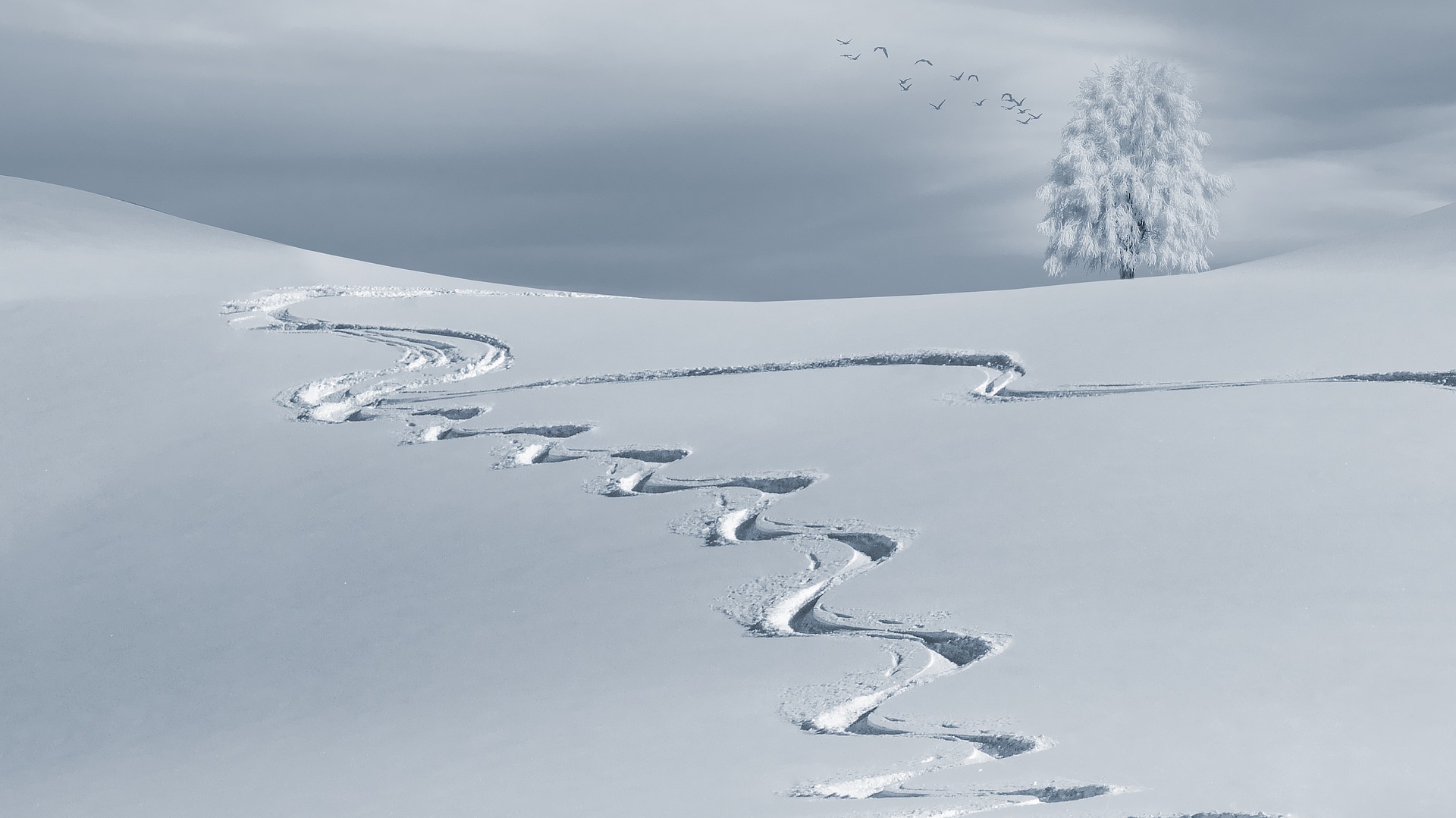 Stop tracking and start ignoring - Learn from my experience Stop tracking and start ignoring - Learn from my experience